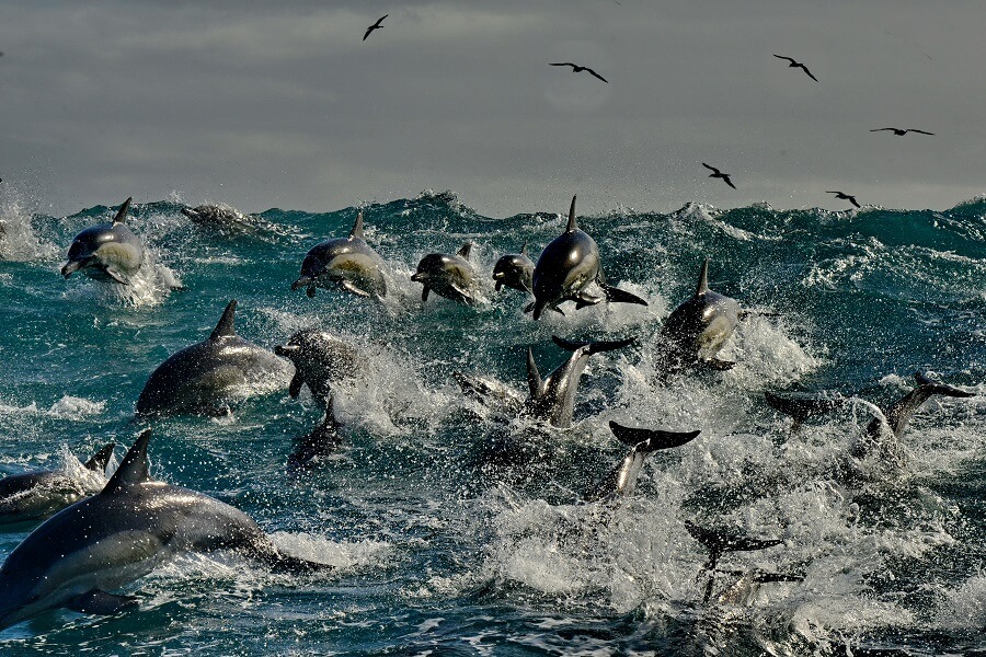 Nelson Mandela Bay - Visit Eastern Cape